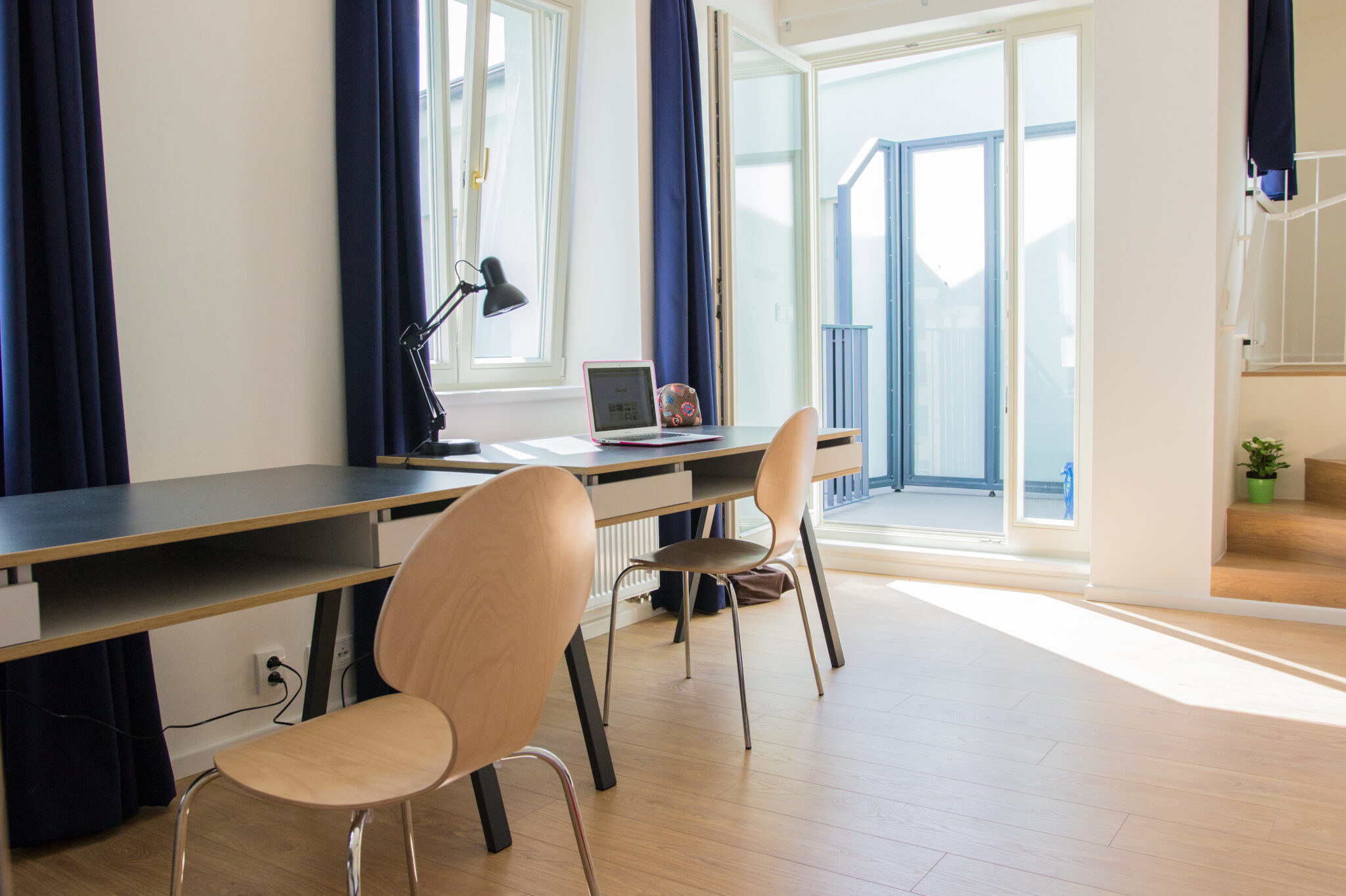 A Comprehensive Guide to the University of New York in Prague